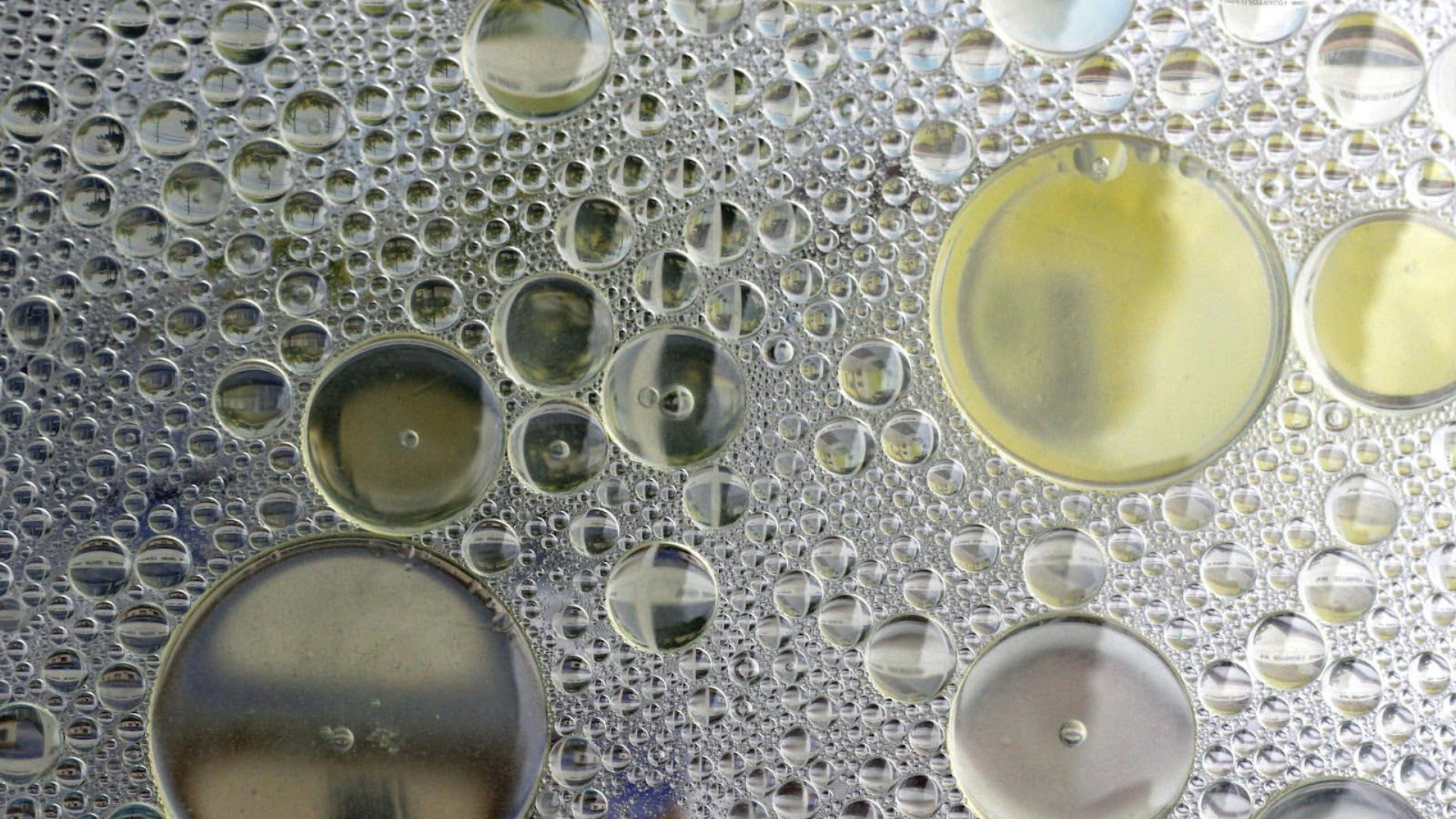 L’huile de canola peut-elle se détériorer